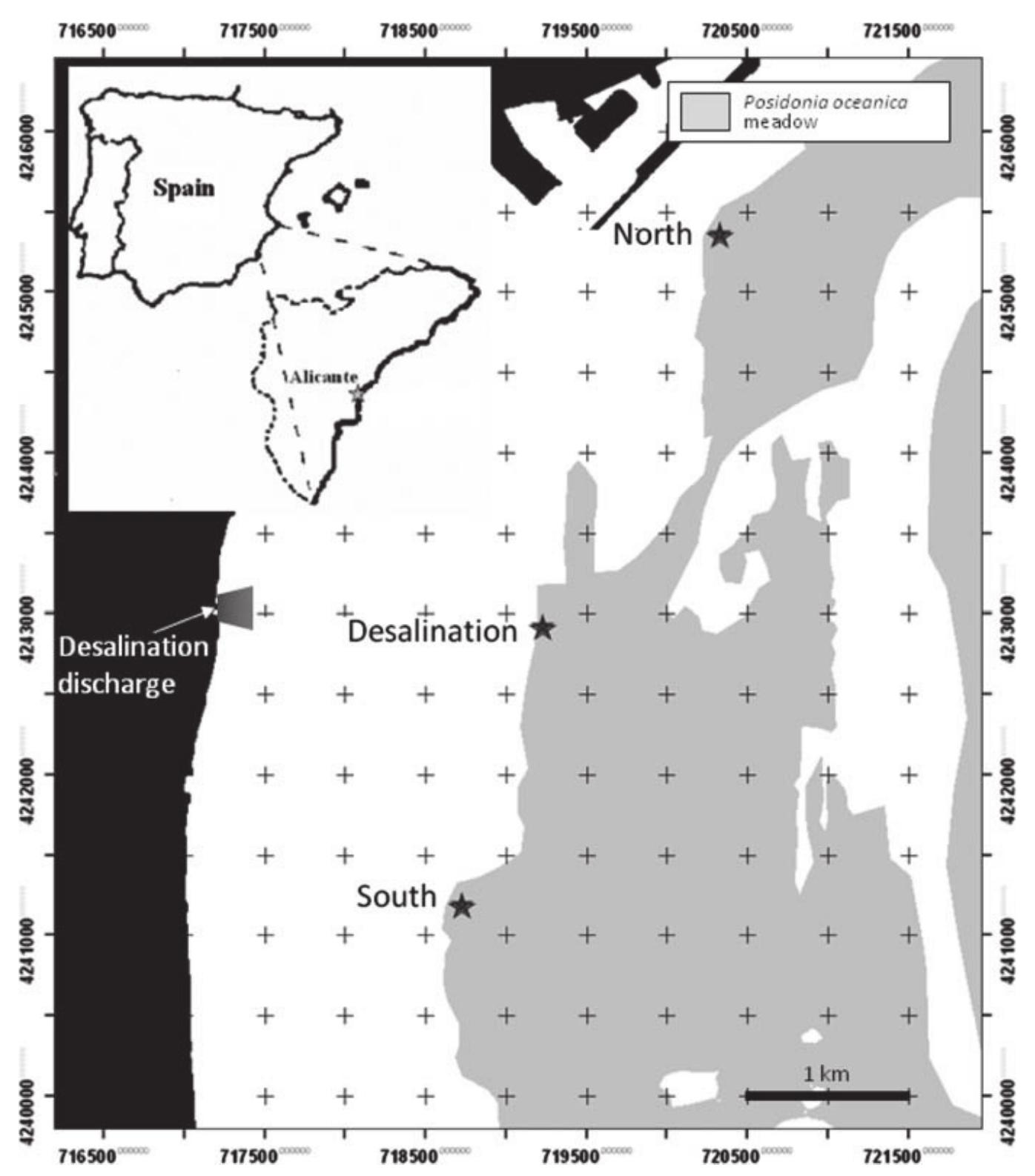 Map of the study area showing the sampling stations and the