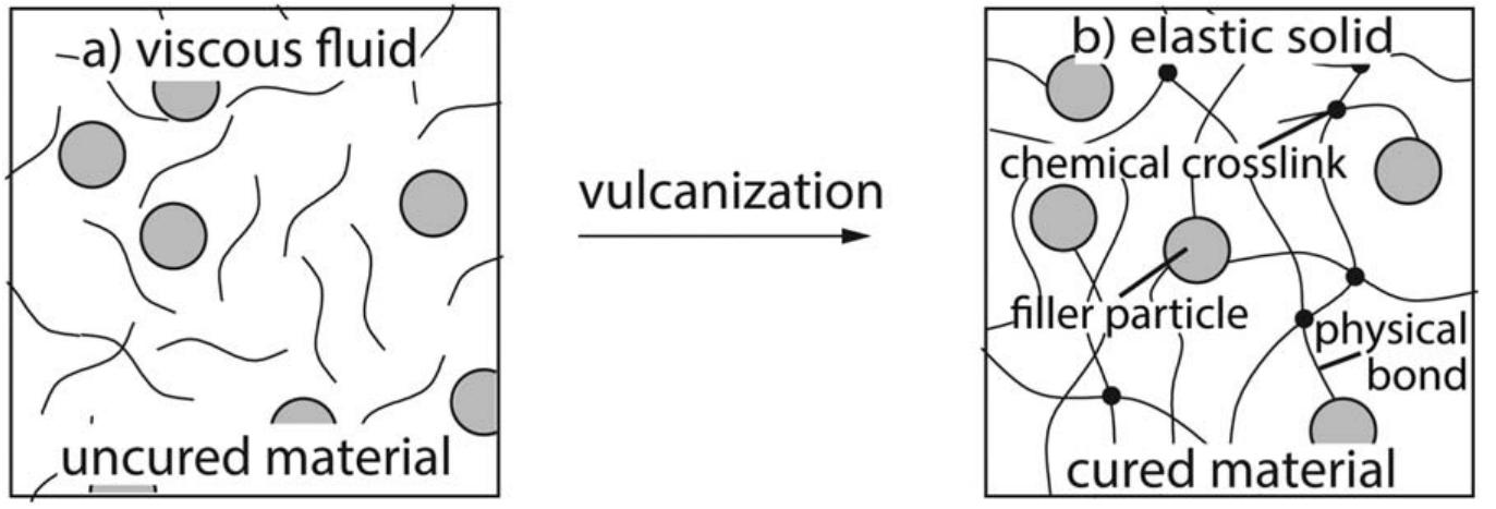 Molecular model of vulcanization process in rubber