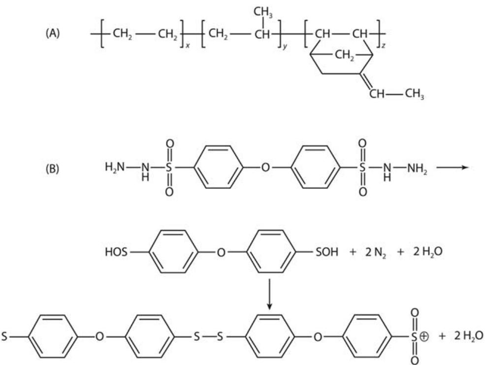 A: molecular structure of the ethylene propylene diene