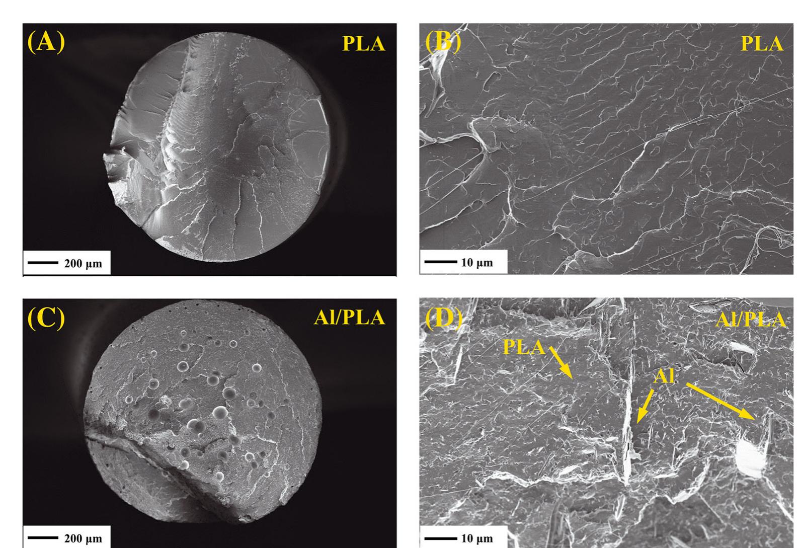 = the cross-sectional scanning electron microscope (sem)