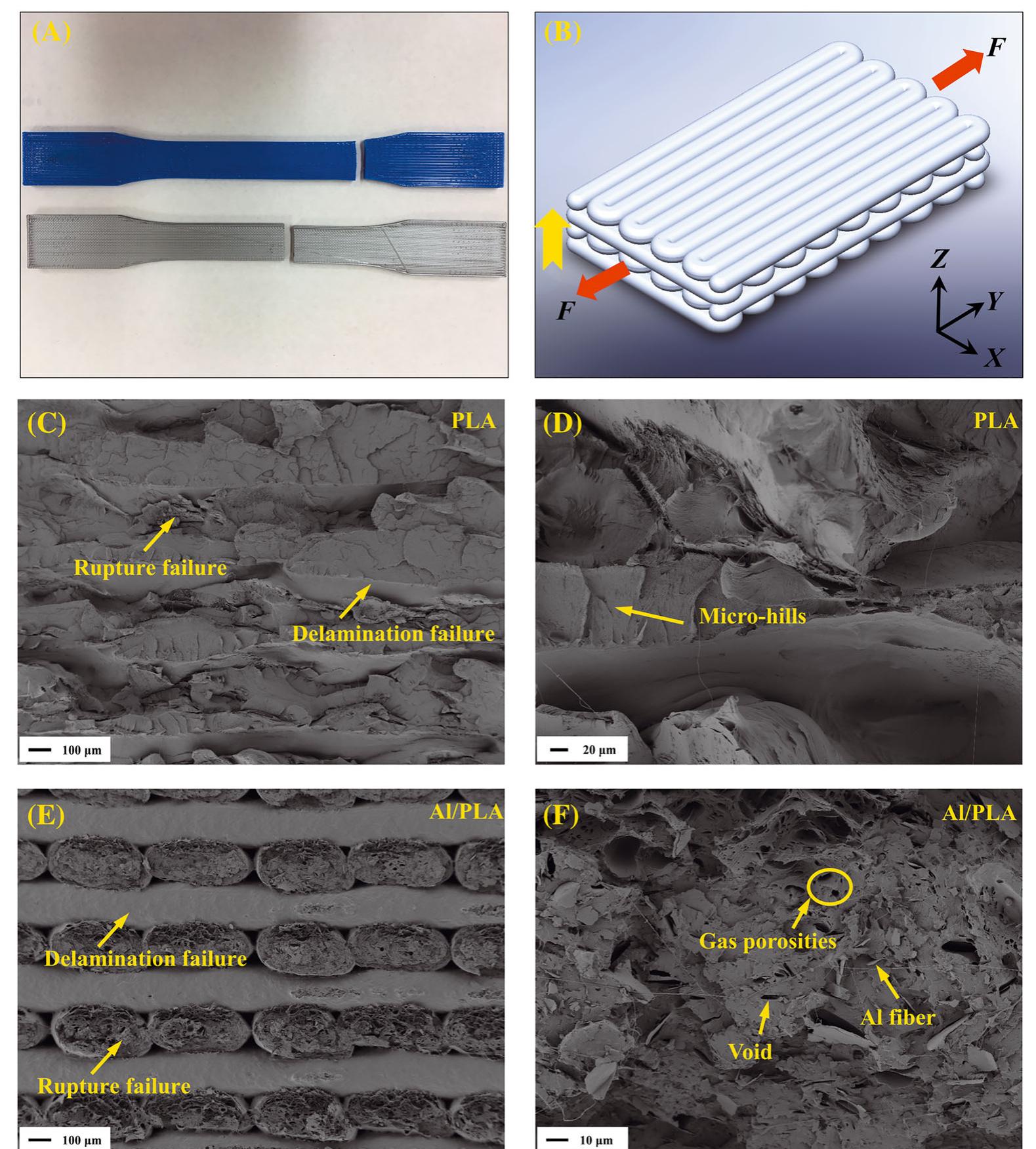 _ a, fractured tensile specimens. b, idealization of tensile