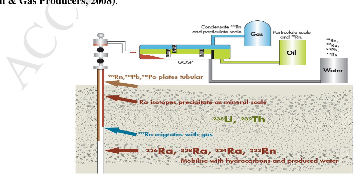 (PDF) Natural gas origin, composition, and processing: A review