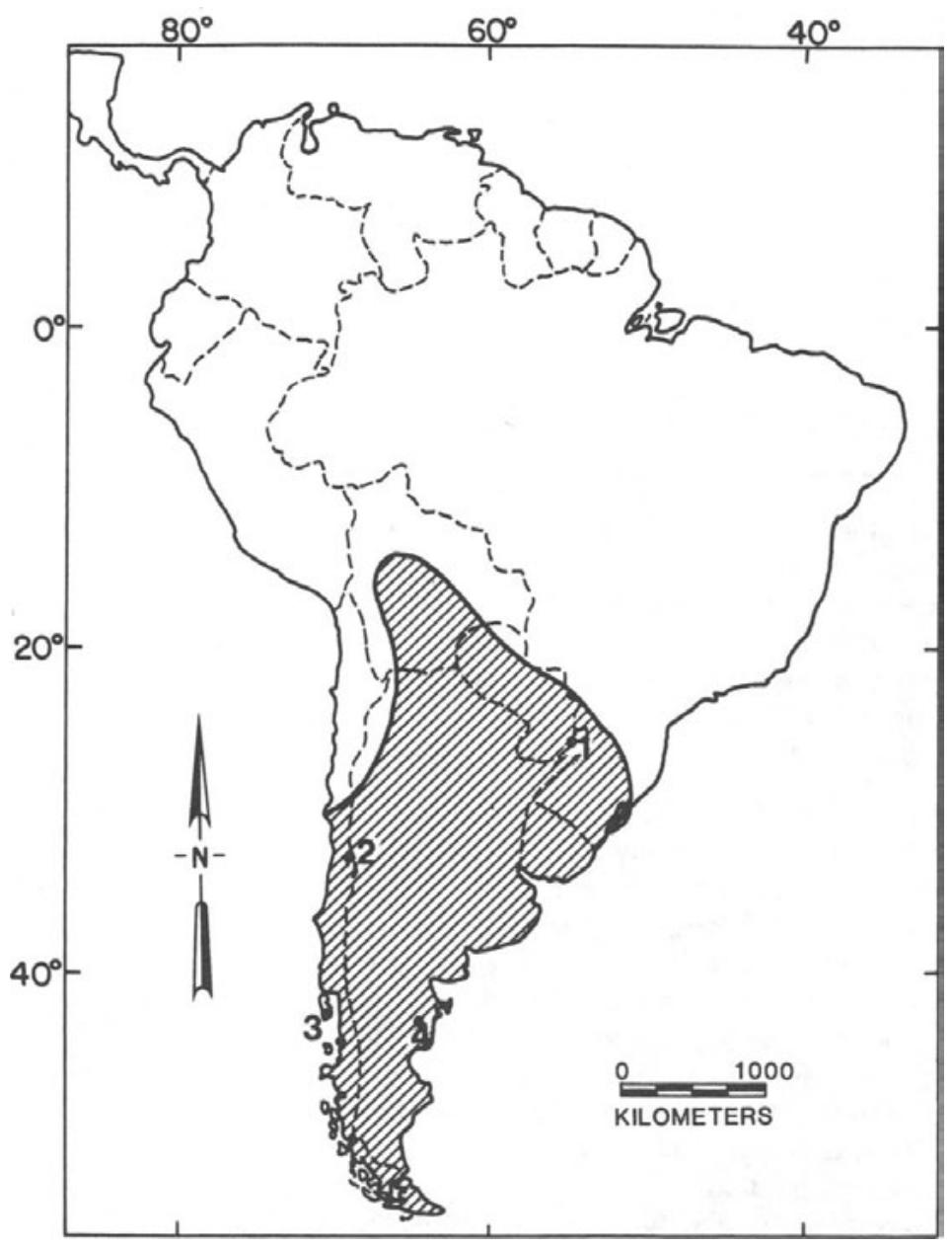 Figure 3 - from Myocastor coypus