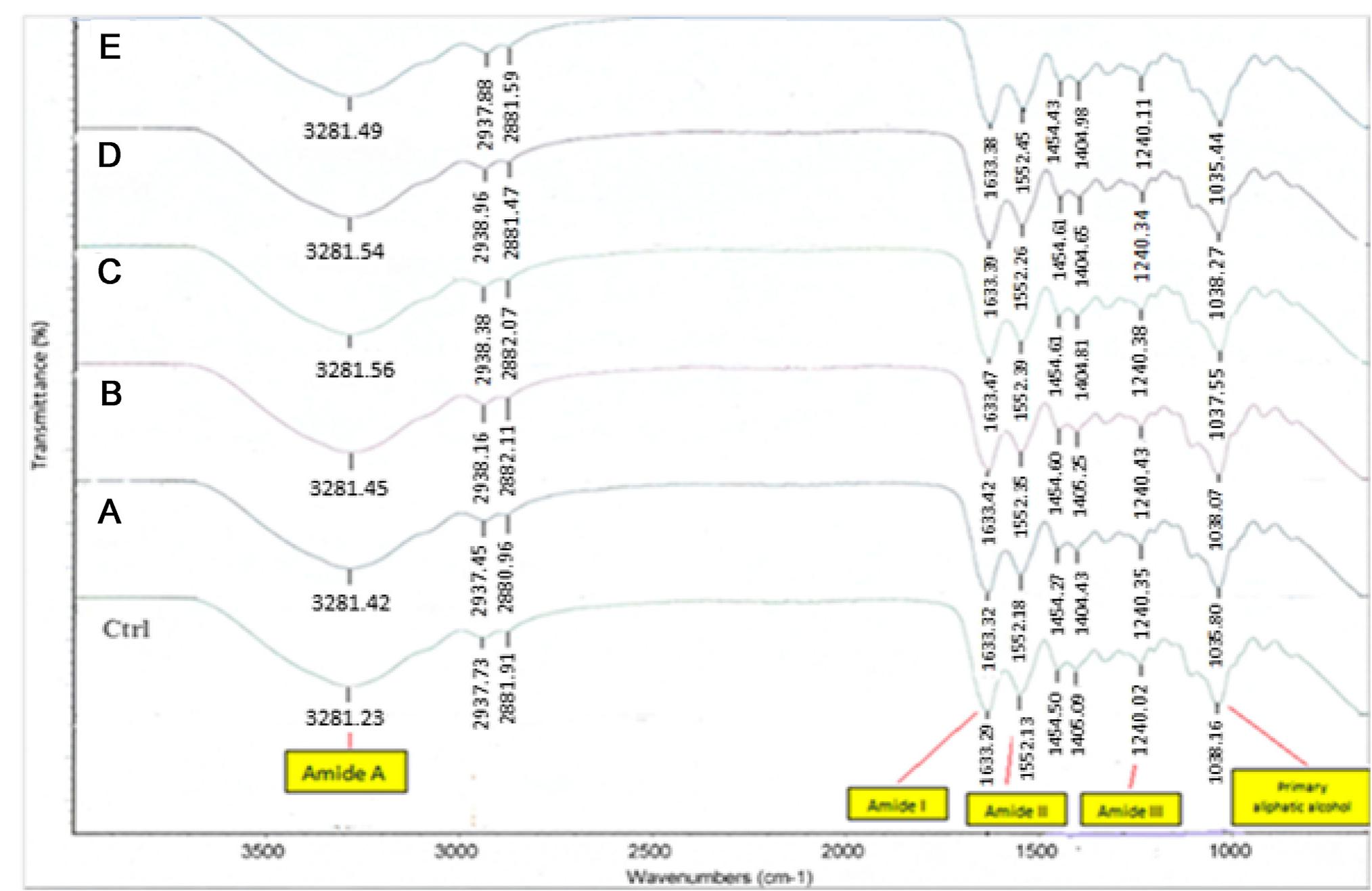 Ftir spectrum of each gelatin-cmc-xanthan gum film