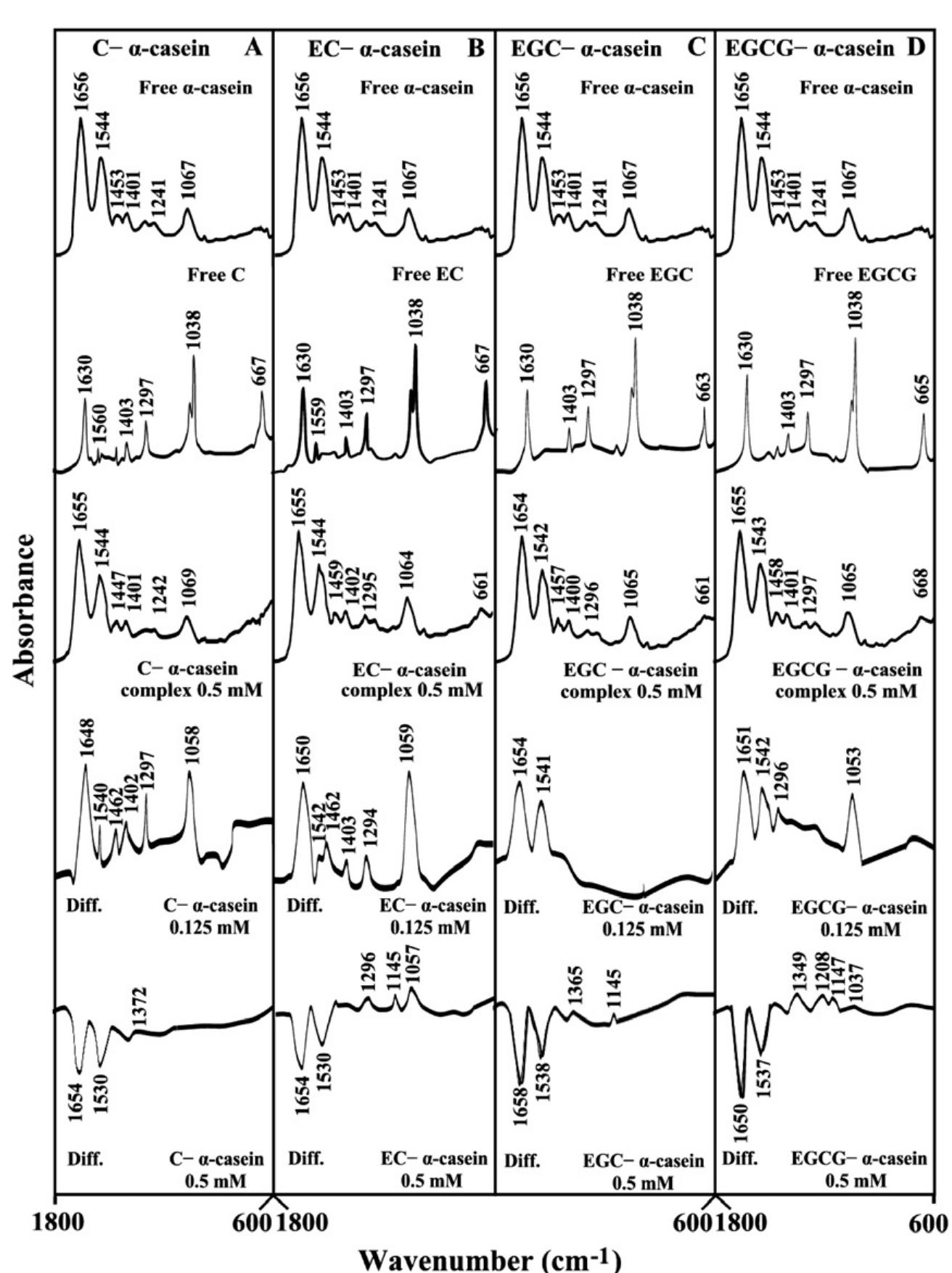 Ftir spectra of hydrated films (ph 7.4) in the region of