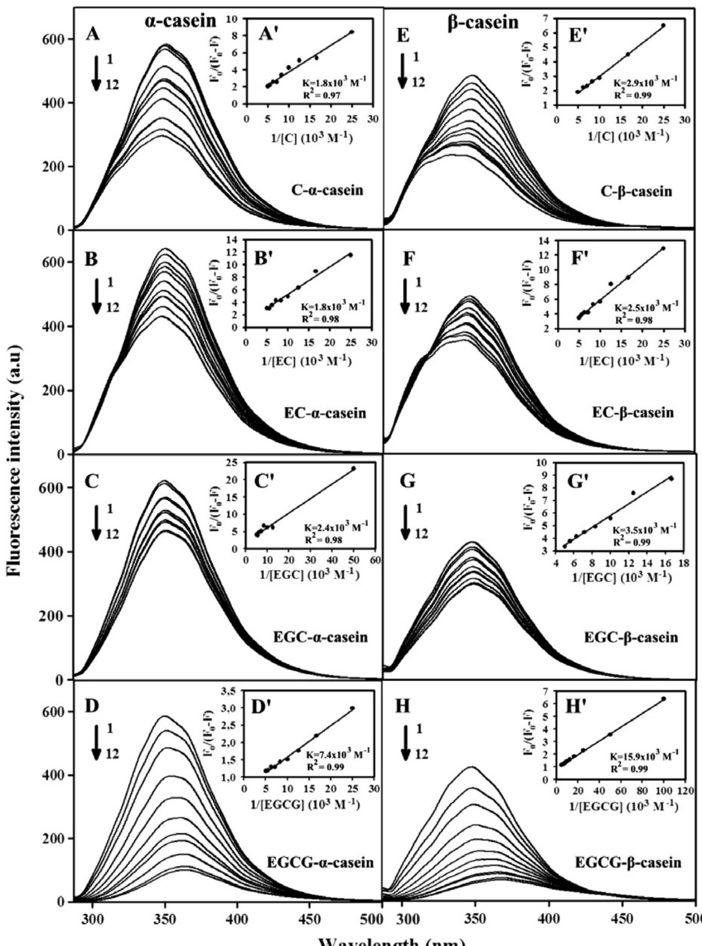 Figure 5 - from Interaction of milk α- and β-caseins with
