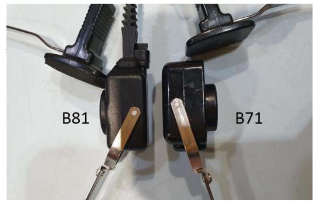 The exterior design of radioear b71 and radioear b81 bone