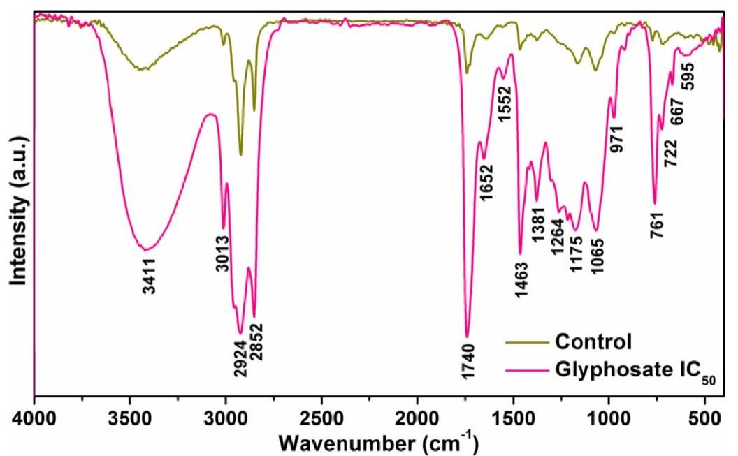 Ftir spectra of microalgae c. sorokiniana lipids grown in