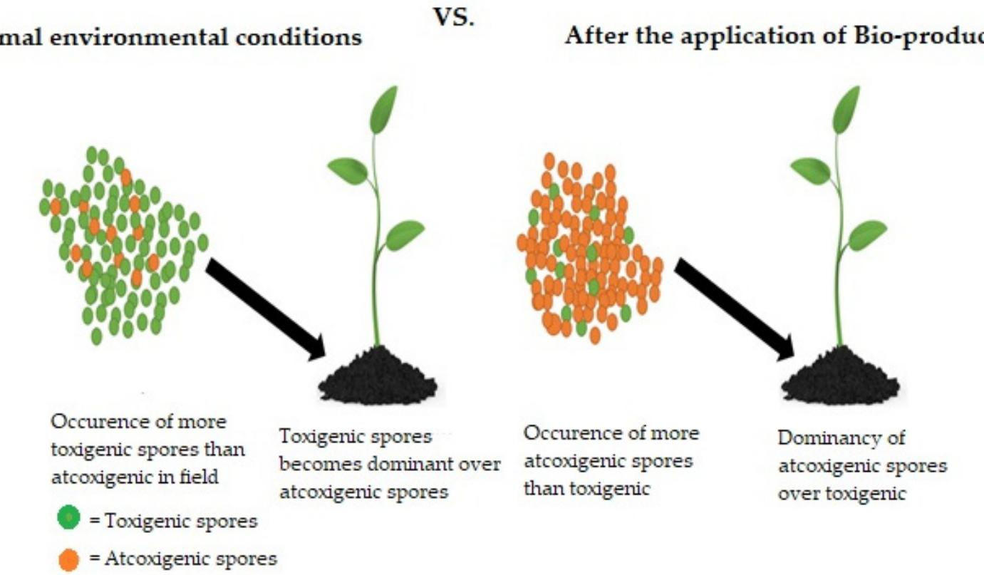 Schematic diagram showing the principle of biocontrol