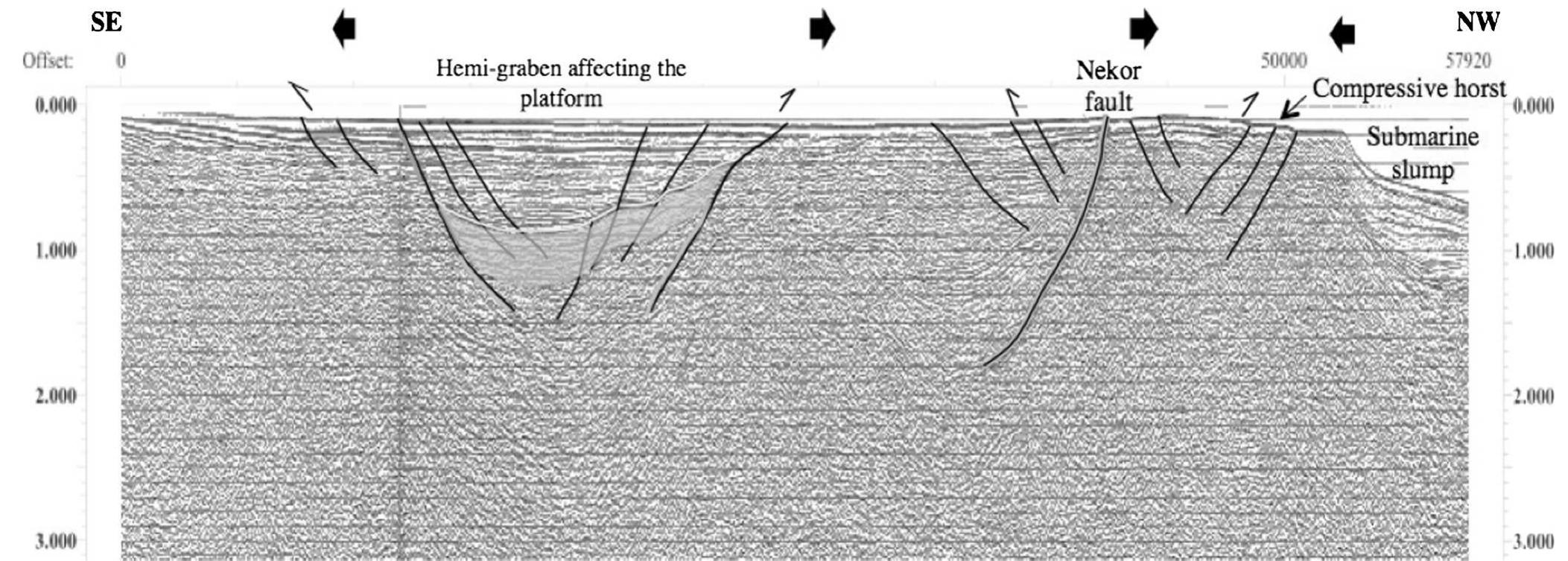 Seismic profile “81 west” across the nador offshore (see