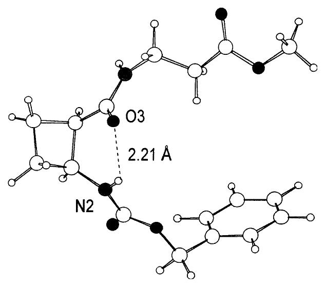 Optimized (bpw91) structure of dipeptide 16 showing an
