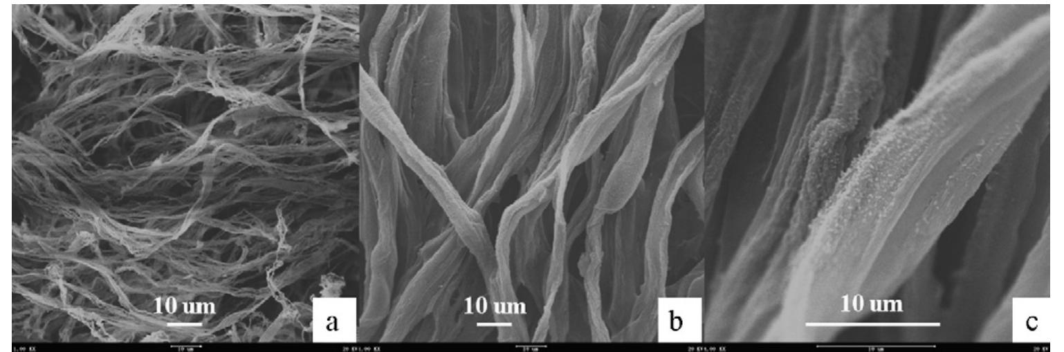 Sem images of char left after mcc test: the virgin cotton