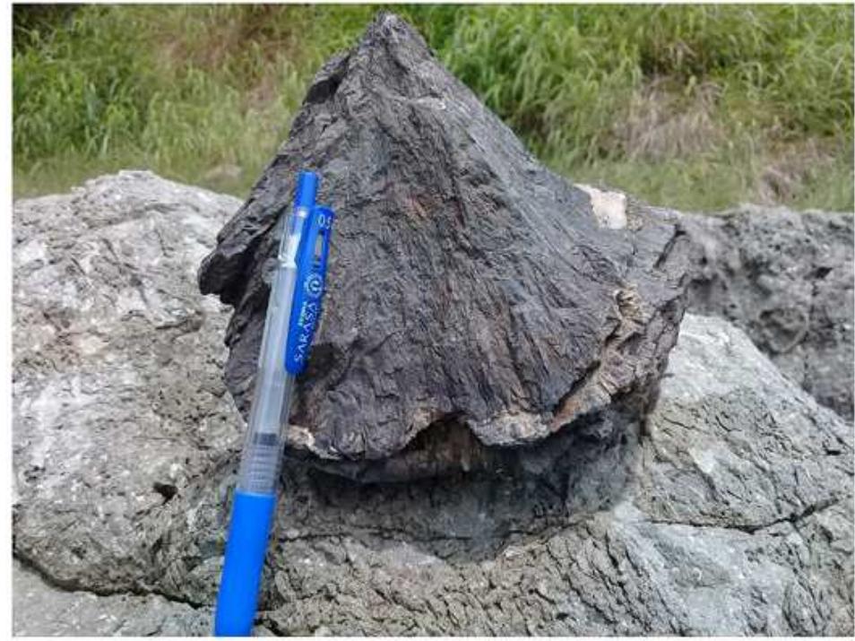 A shatter-cone like rock at the north-western hill. in the