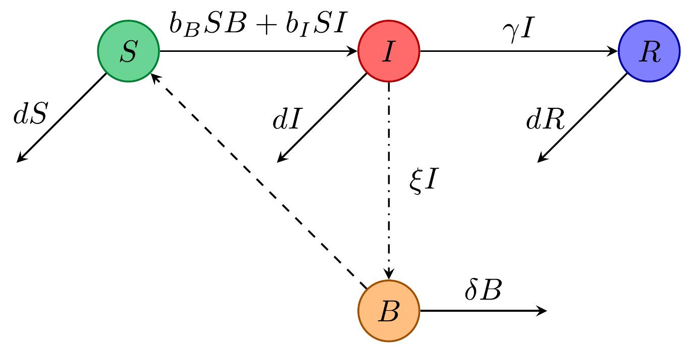 Flowchart of the cholera model by tien and earn (2010).