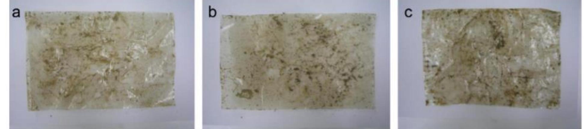 (PDF) Bioplastic made from starch as a better alternative to ...