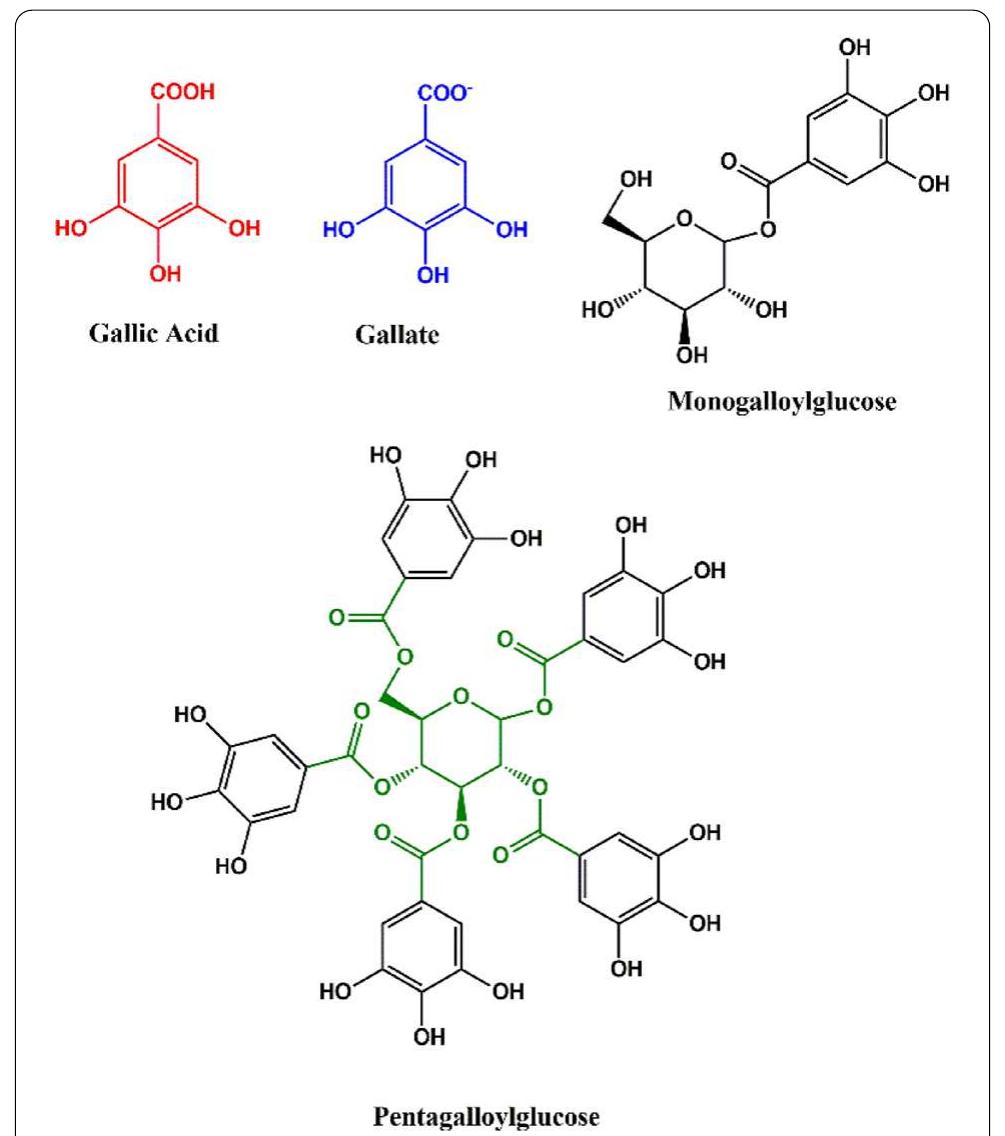 Chemical structures of gallic acid, gallate, monogalloyl
