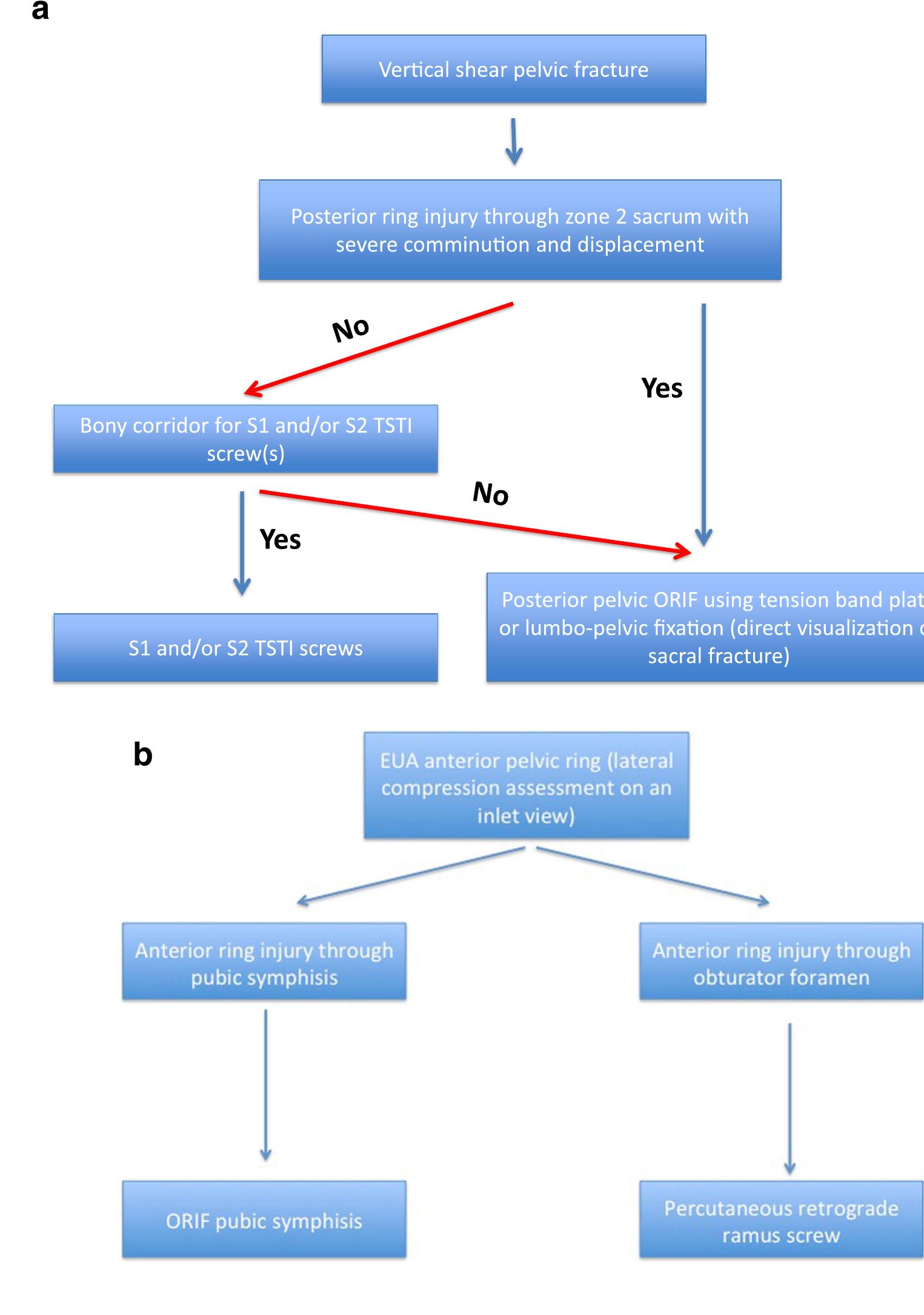 (PDF) Vertical shear pelvic injury: evaluation, management, and ...