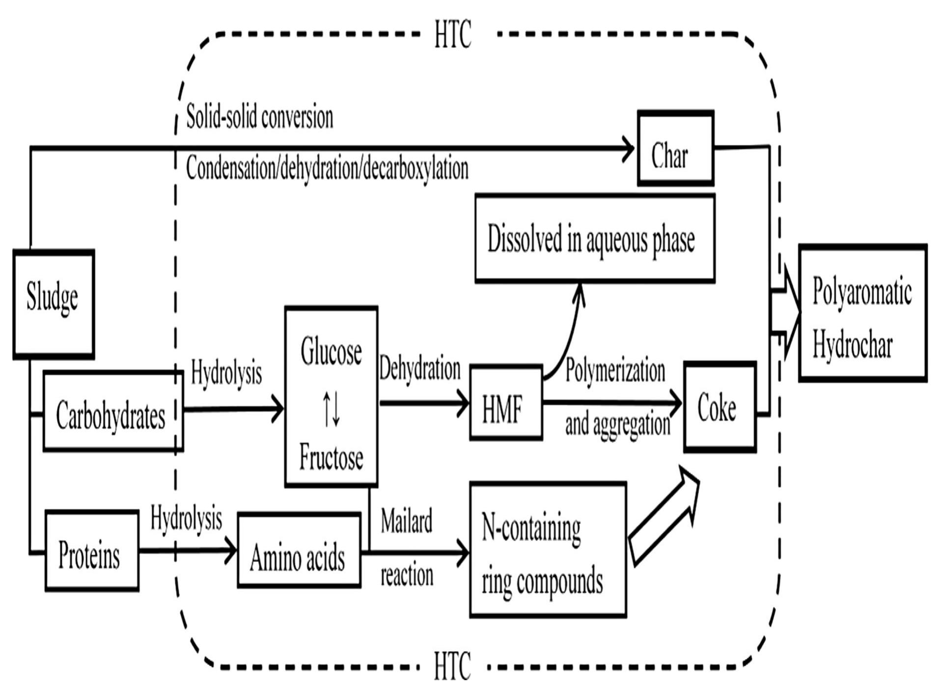 Reaction mechanism for hydrochar synthesis during htc