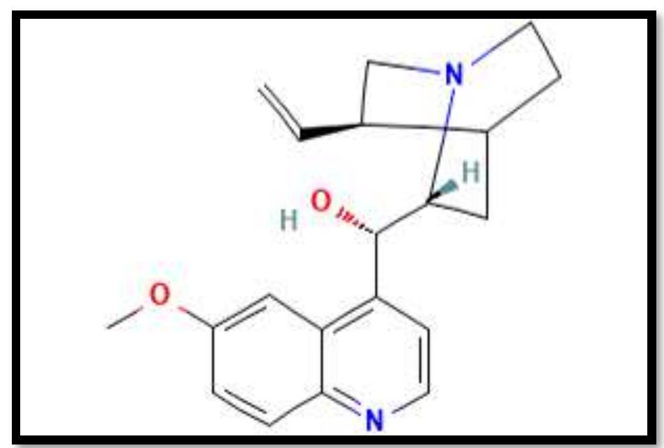 Structure of quinidine (apd), and erp/apd ratios are