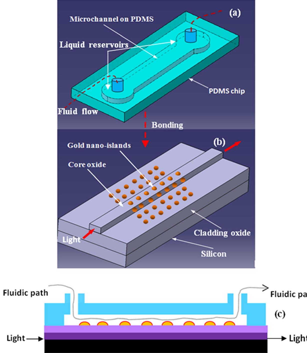 Schematic diagram of integration process of the loc, (a)