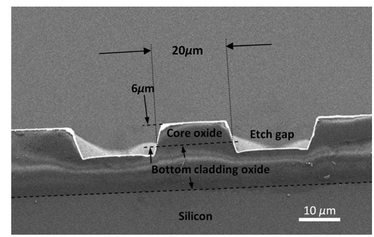 Sem image of the sos waveguide showing the sectional view of