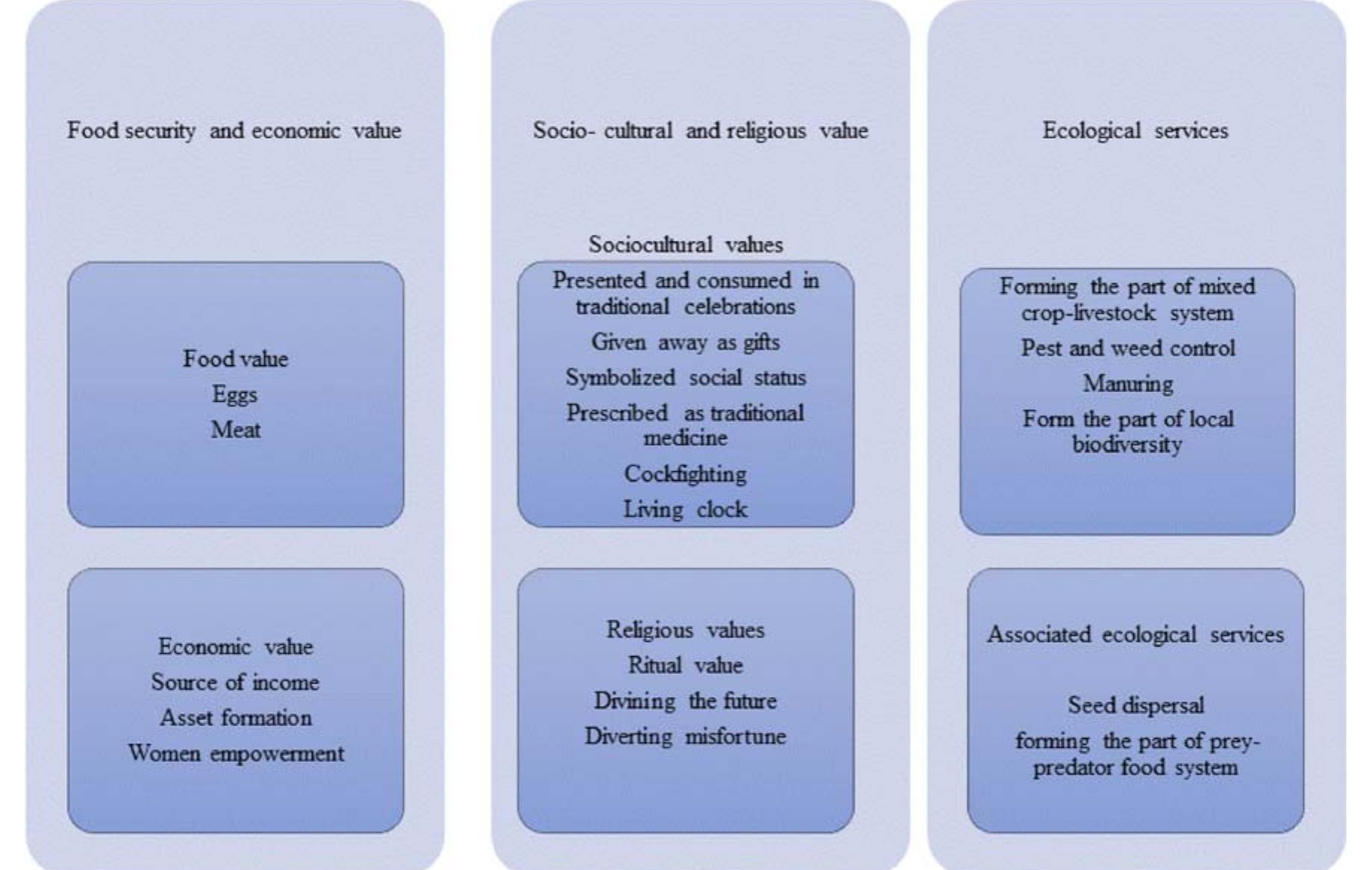 Figure 3 - from Indigenous village chicken production: a
