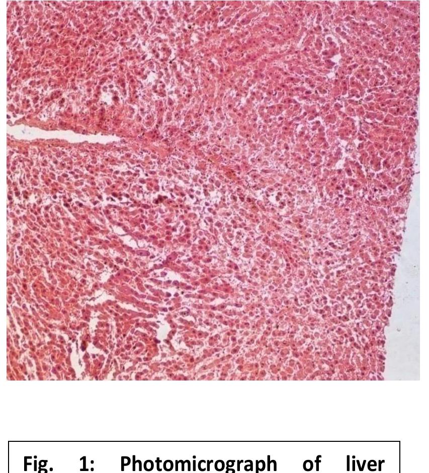Figure 4 - Postmortem Blood and Tissue Changes for