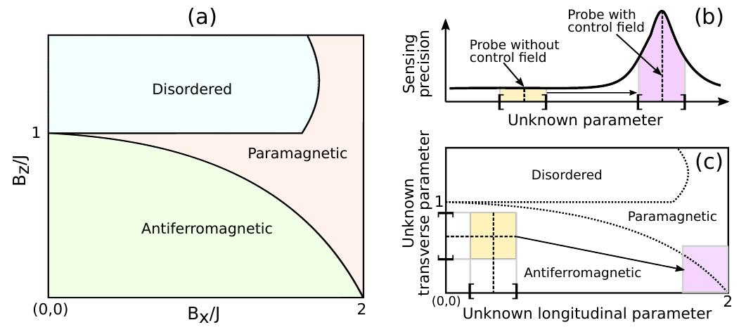 (a) schematic of the full phase diagram for an ising model