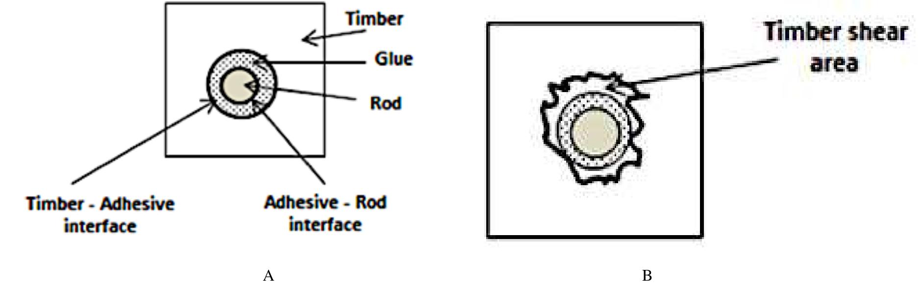 Cross-section specimen sketches; (a) before test (b) timber