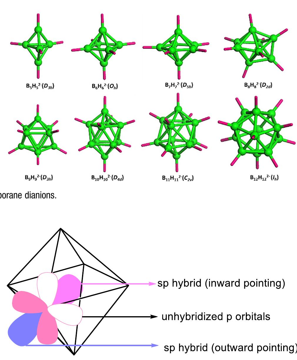 The sp hybridized atomic orbitals that form the basis for