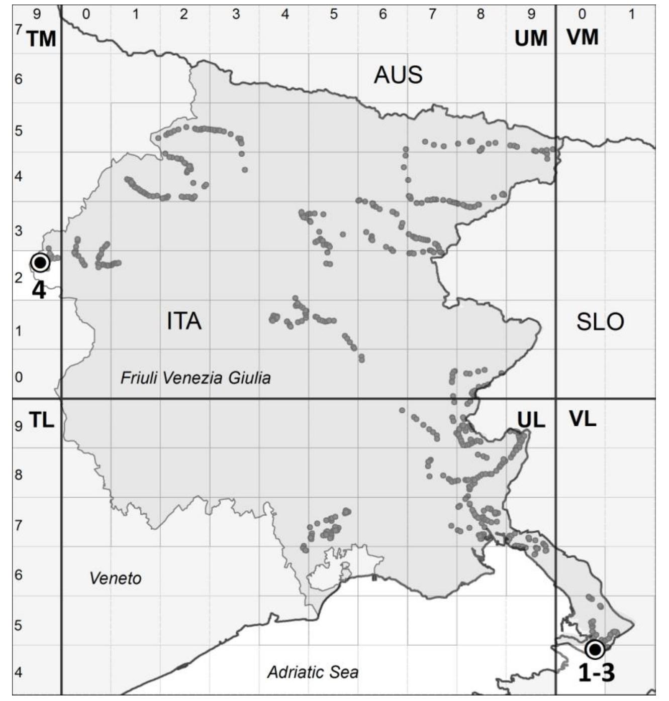 Map of 7adarida teniotis \ocalities, recorded in the friuli