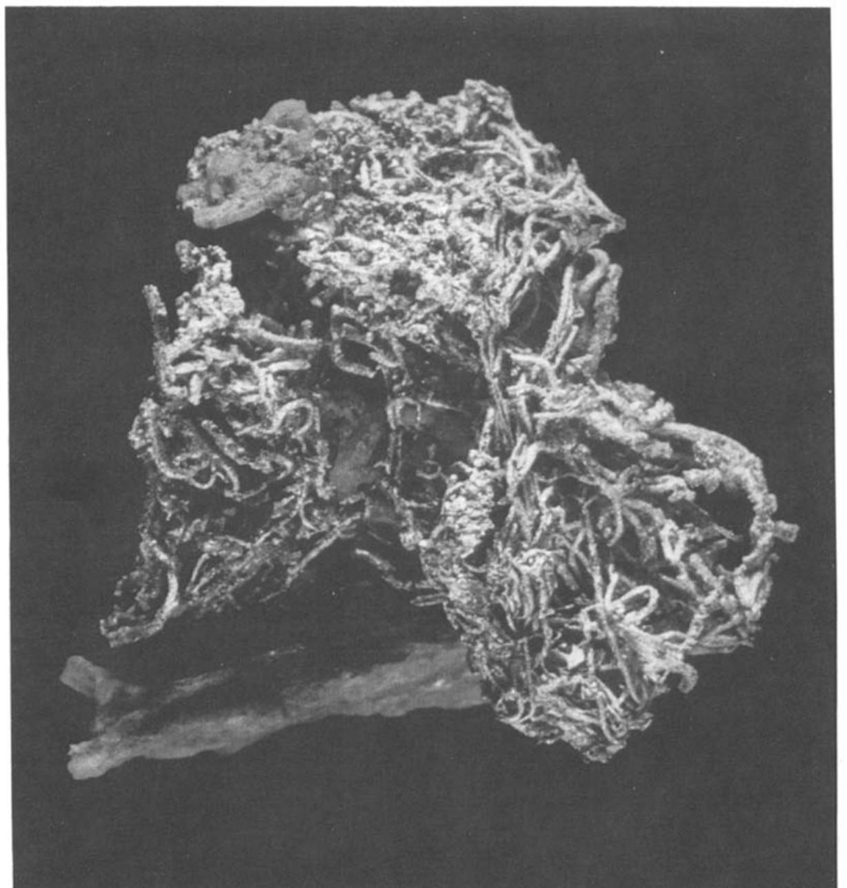 Photograph of eluvial gold nugget from central otago;
