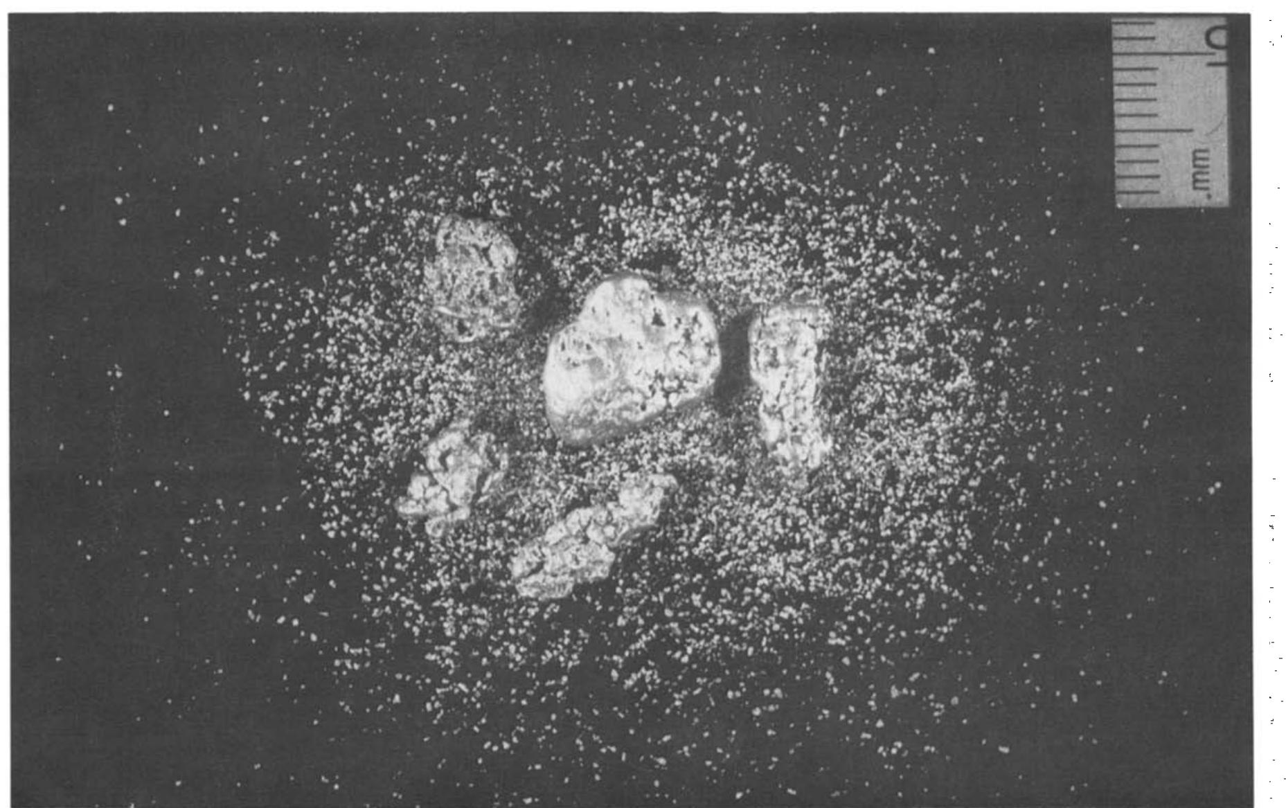 Photograph showing relative size and morphology of detrital