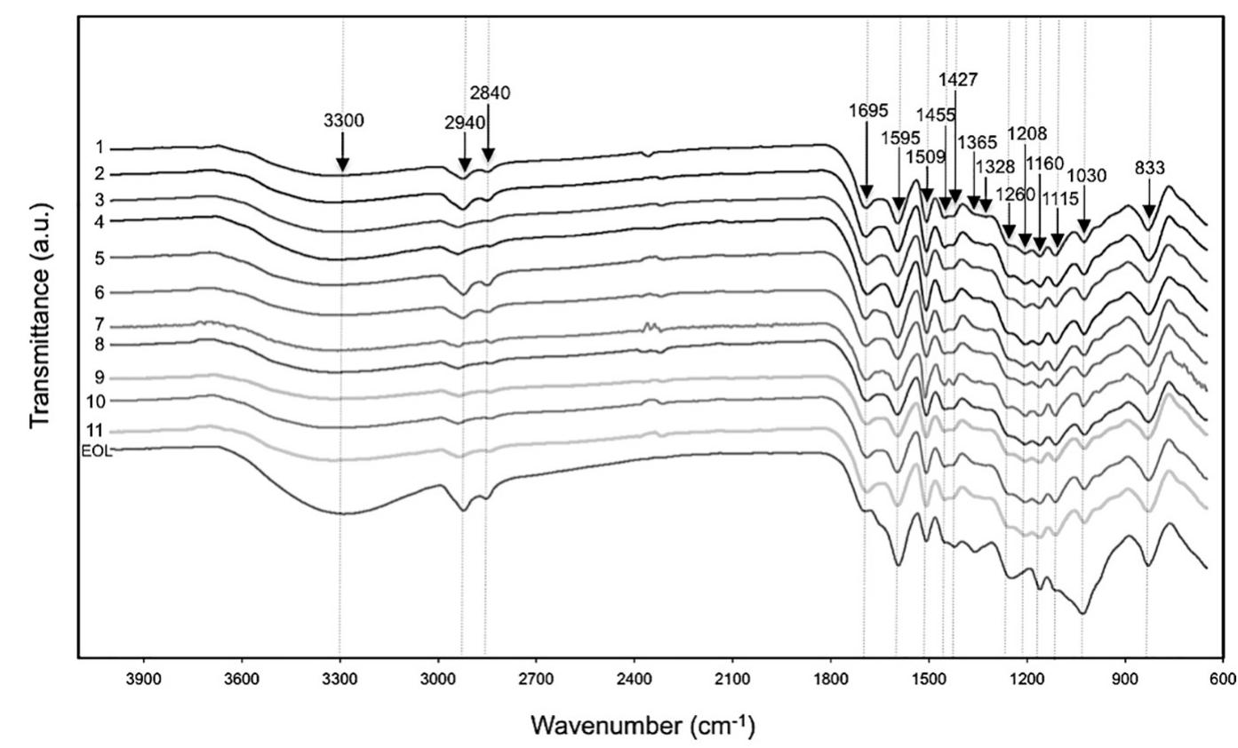 Atr-ftir spectra of hydrothermally pretreated ethanol