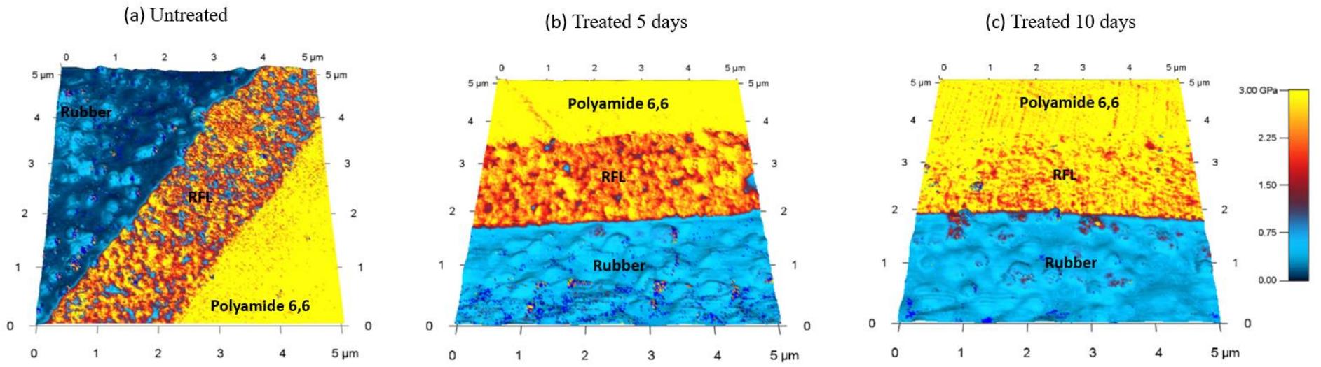From the force-indentation curves and after calibration of