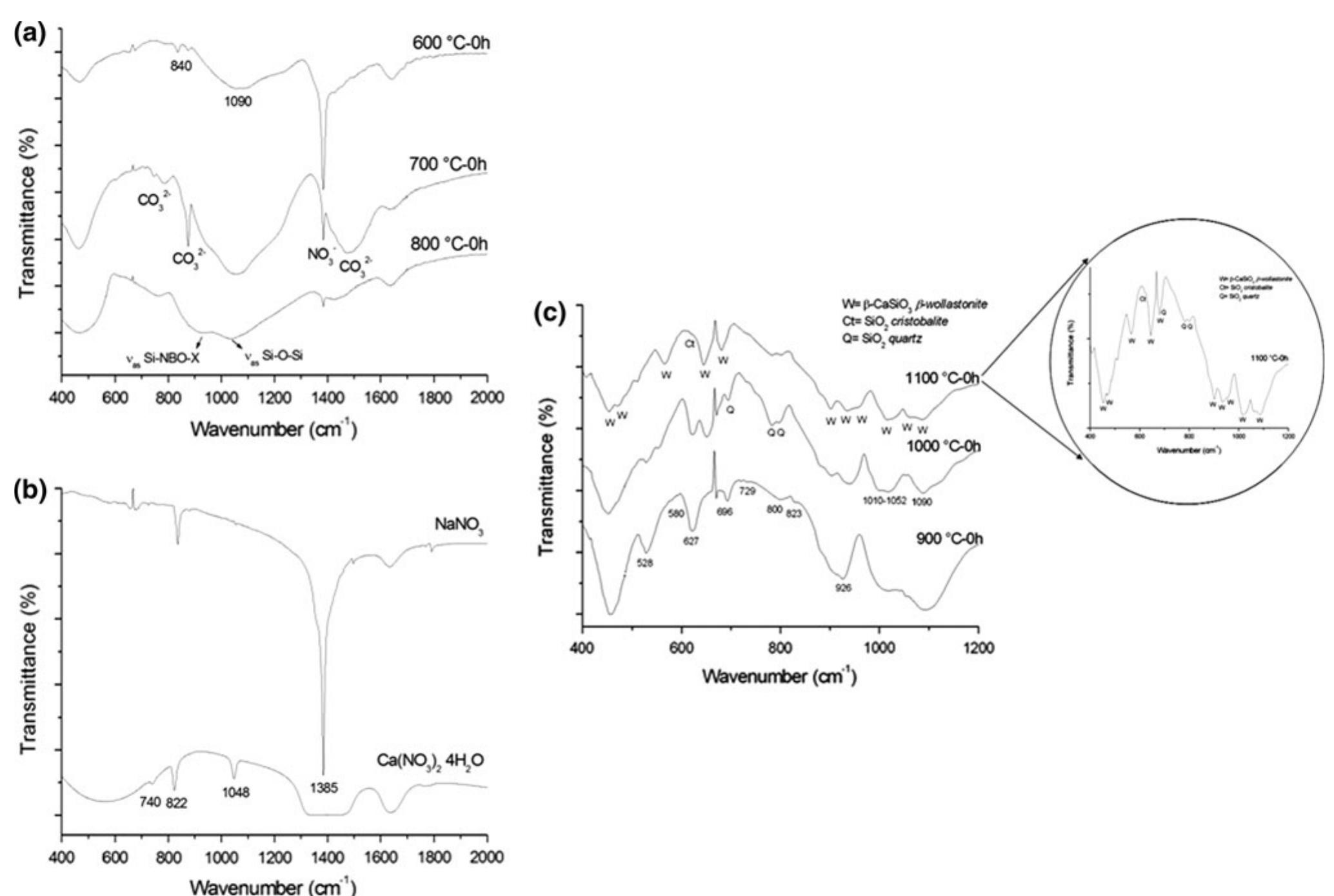 Ft-ir spectra of: (a) 45s5 calcined at 600, 700 and 800 °c