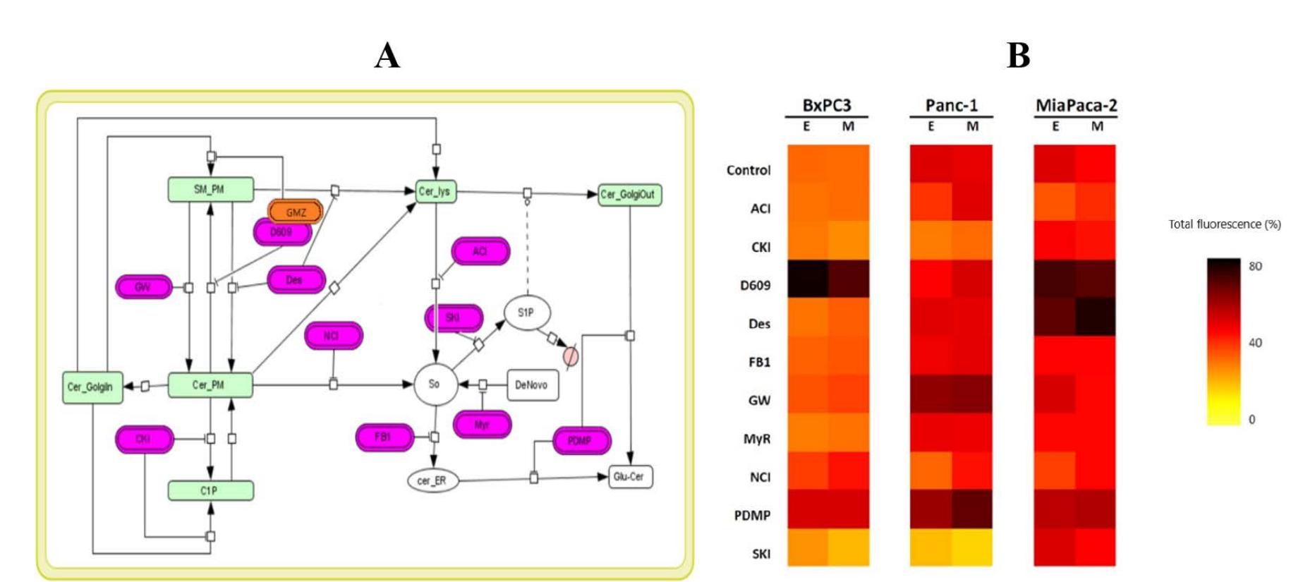 The use of fluorescent sl sensor enables the construction of