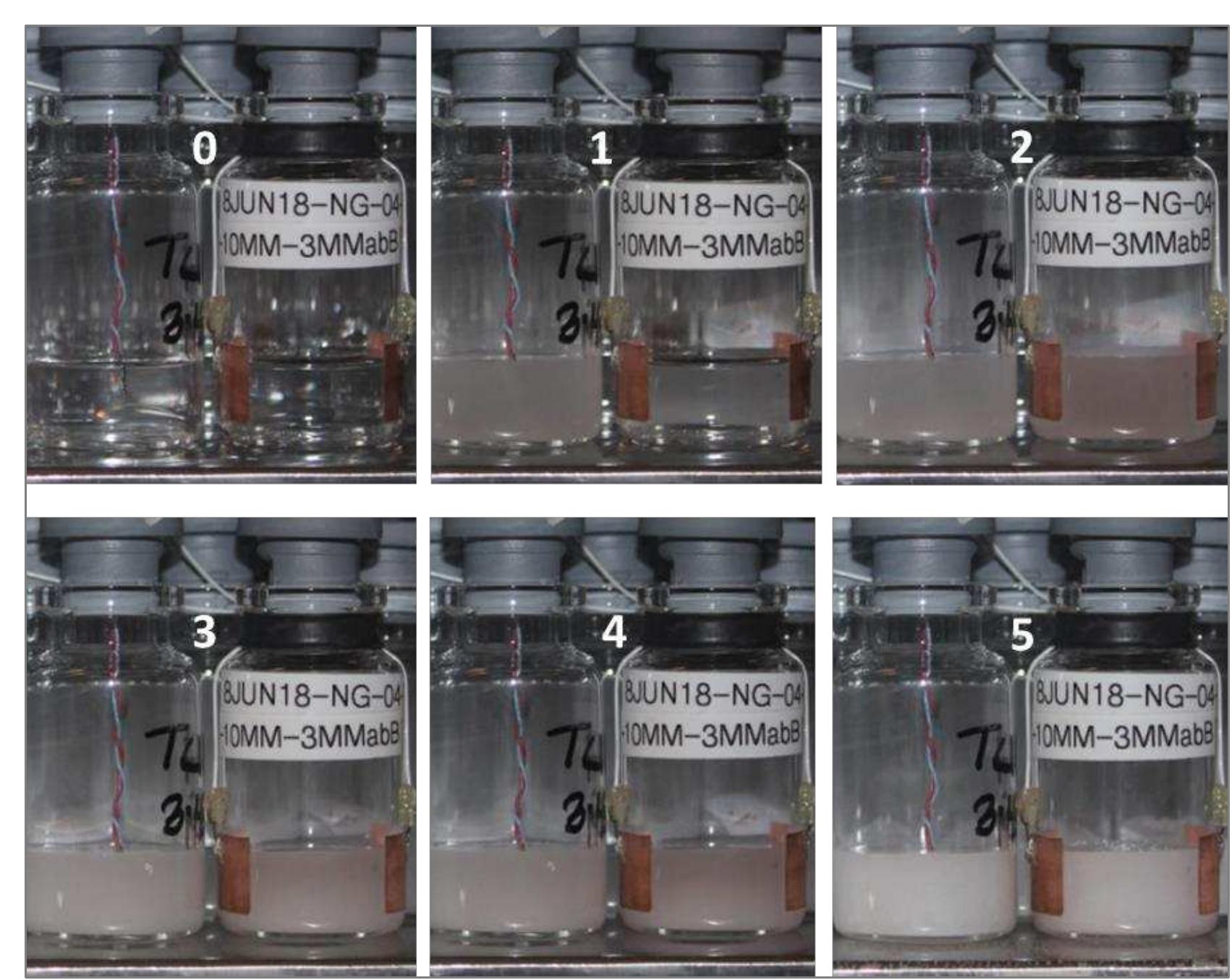 2 6.4 pictorial representation of phase transformation of 5%