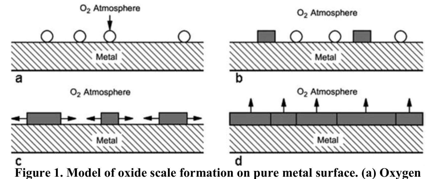 The formation of an oxide-scale on the metal surface