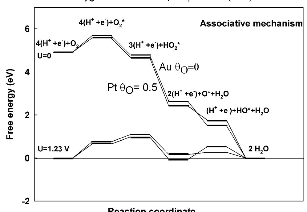 (PDF) Origin of the Overpotential for Oxygen Reduction at a Fuel-Cell ...