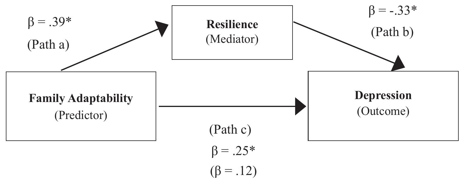 Model of resilience as a mediator between family