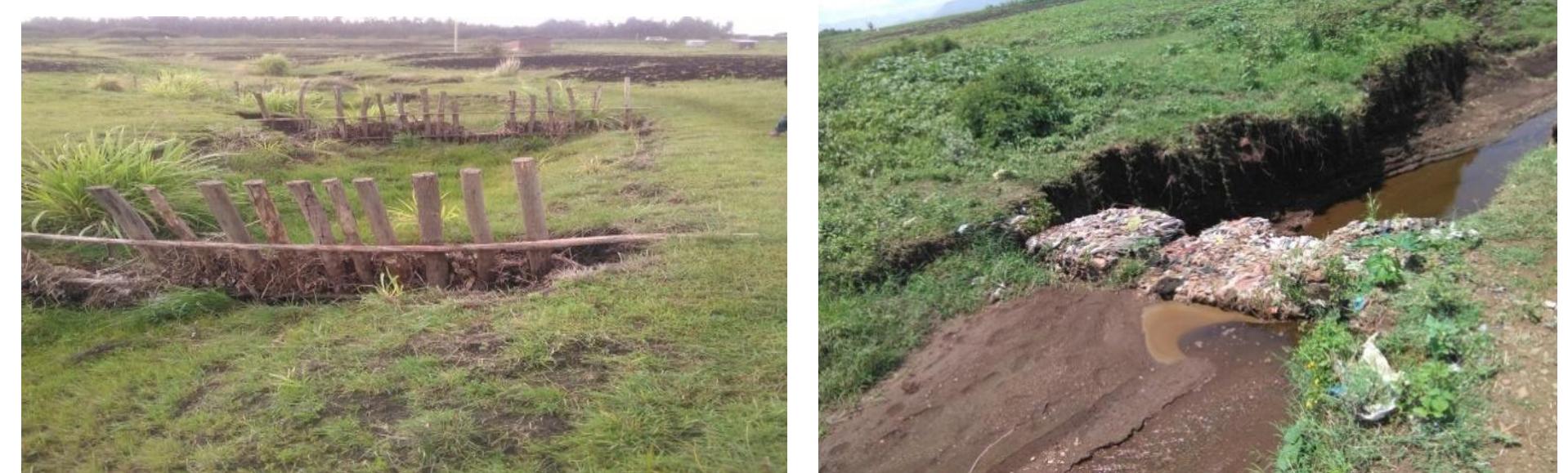 Check dams constructed from woods and gabions in north