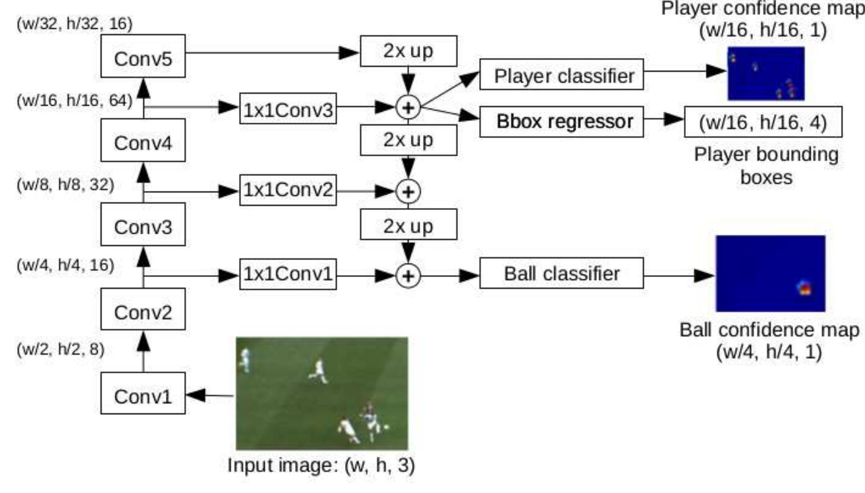 Regressor and ball classifier. given an image with w x h