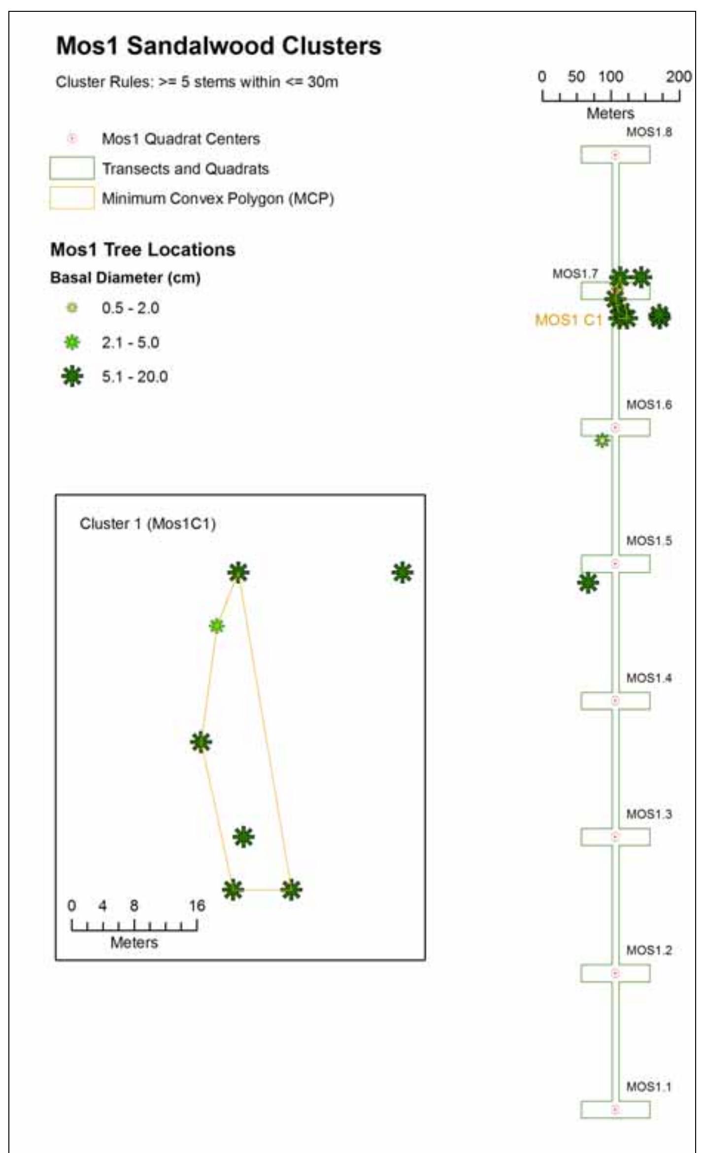 Schematic transect and cluster diagram for moso transect 1