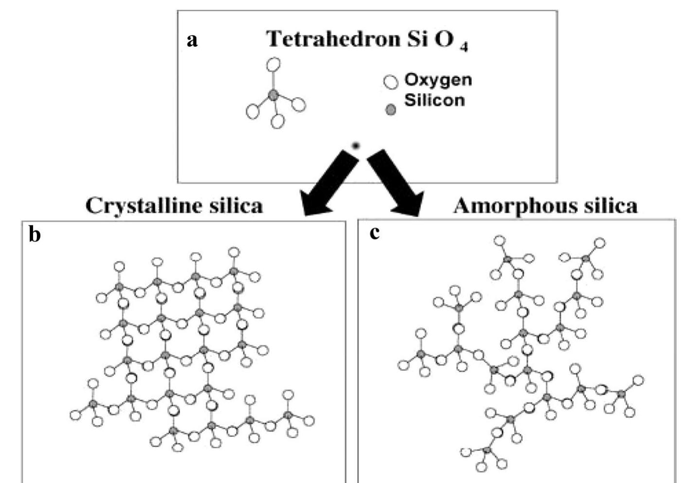The chemical structure of the crystalline and amorphous