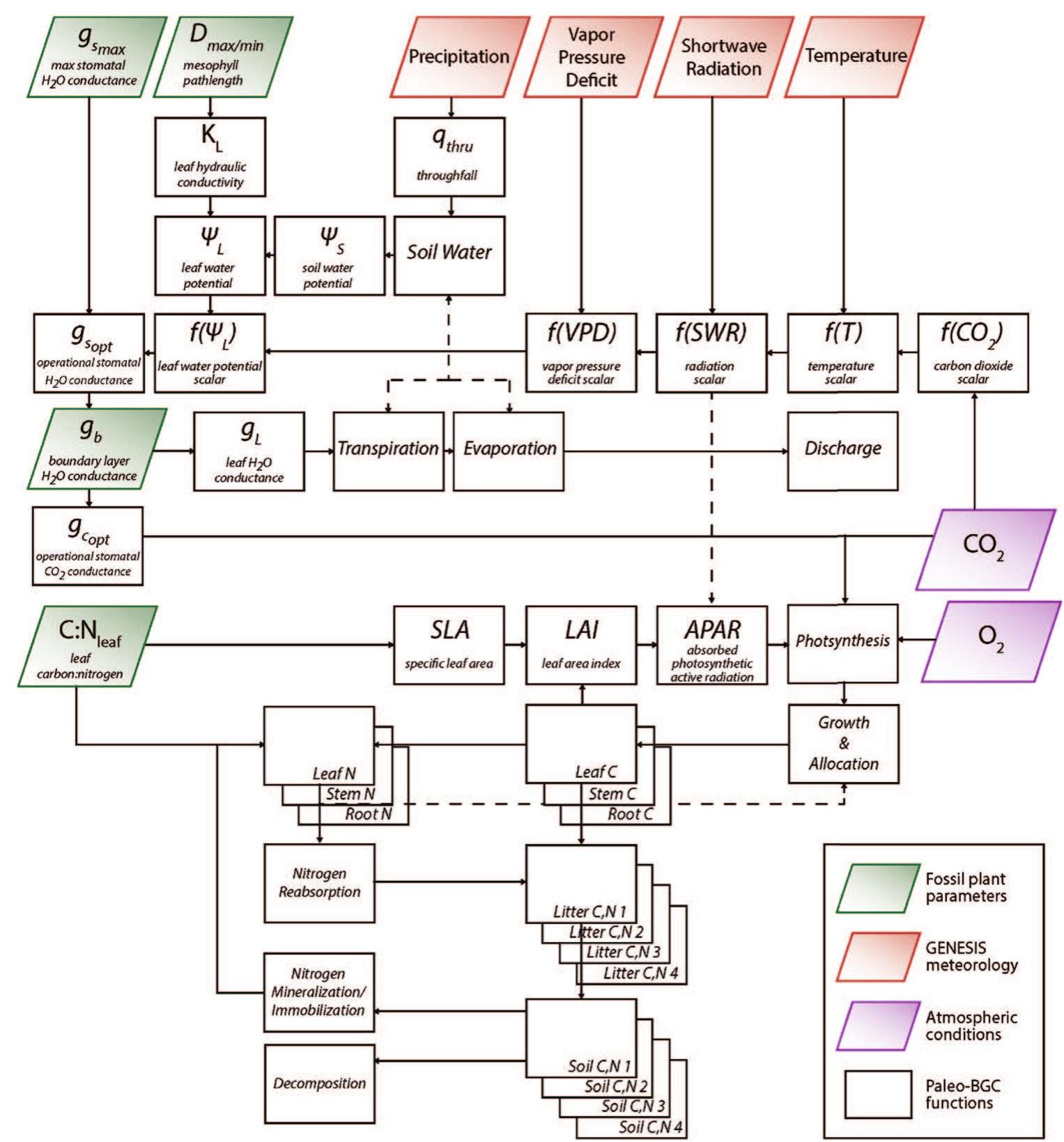 Simplified flowchart of the paleo-bgc model including inputs
