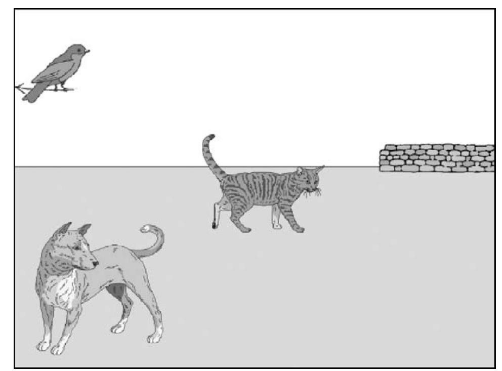 Example of visual scene presented to participants. nouns