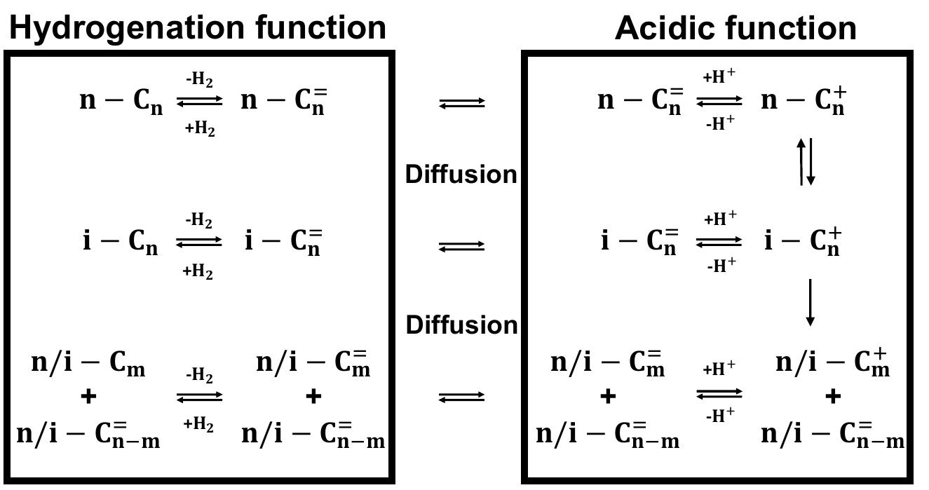 Schematic depiction of the reaction network for