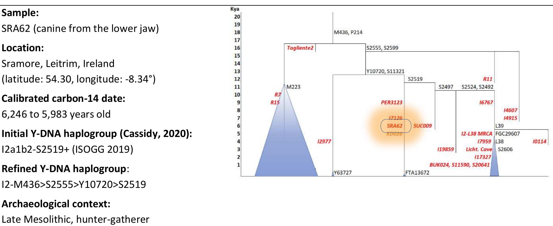 Figure 12 - from The a DNA Pathway of I2 S2555 to I2 L38