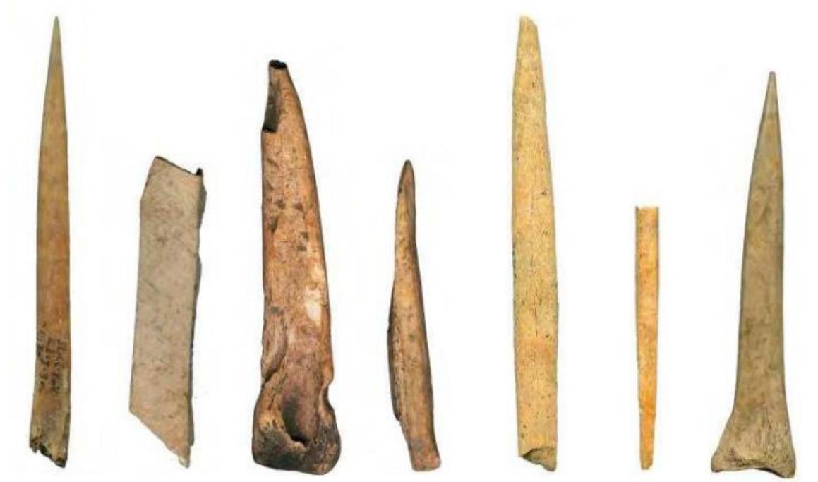 Mesolithic points of bone from schela cladovei bone collagen